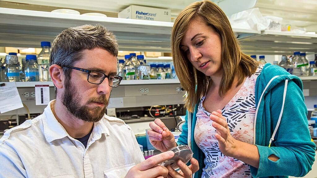 Chemical and Biological Engineering - Princeton Engineering