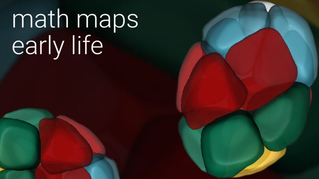 Classic math problem provides new insights for first steps of life ...