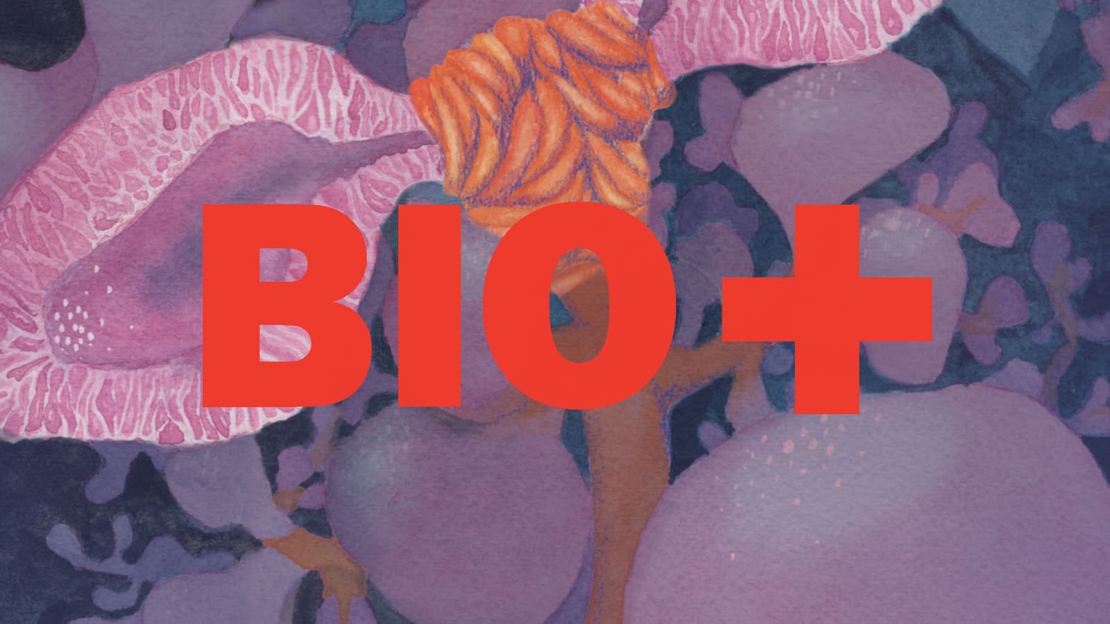 - Pushing the boundaries of bioengineering