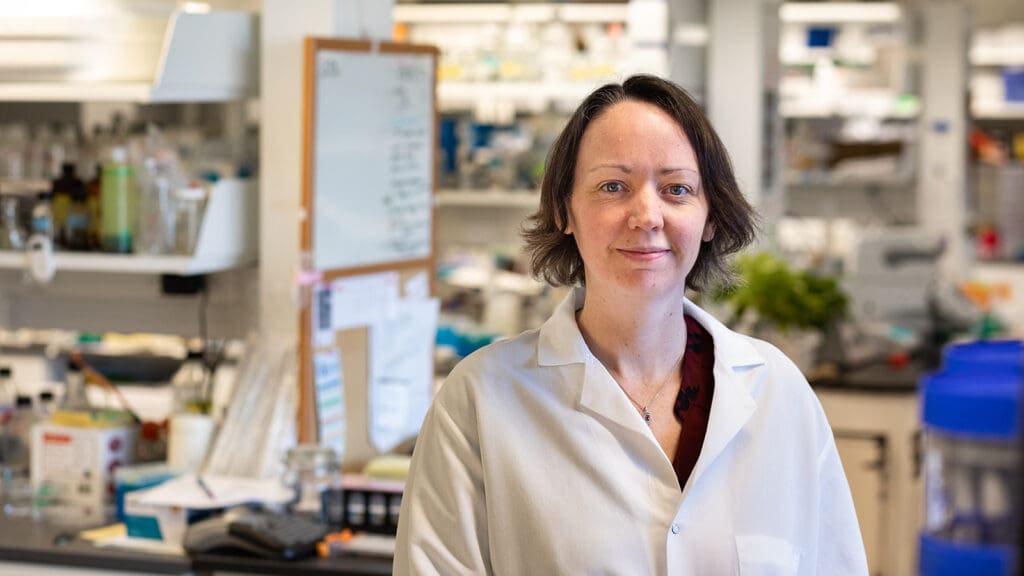 - Pushing the boundaries of bioengineering