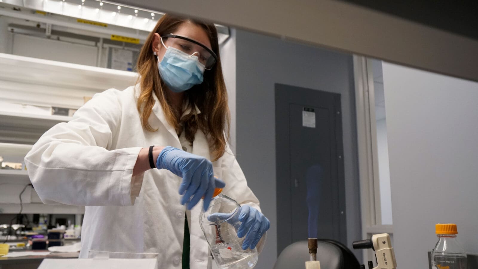 Princeton Engineering - Study shows how some bacteria withstand ...