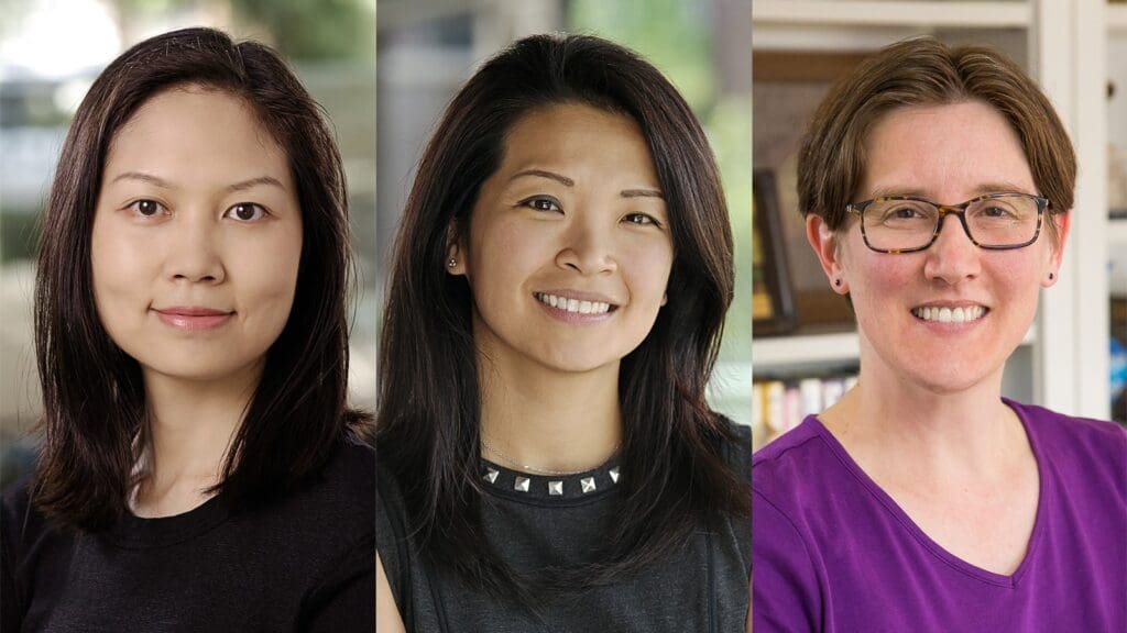 Ning Lin – Princeton University School of Engineering and Applied Science