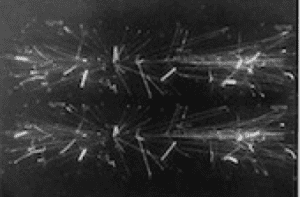 Degrees and Research Areas - Princeton Engineering