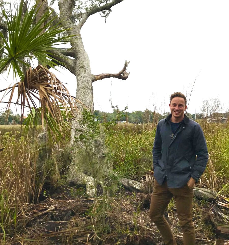 Humble lizards offer surprising approach to engineering artificial ...