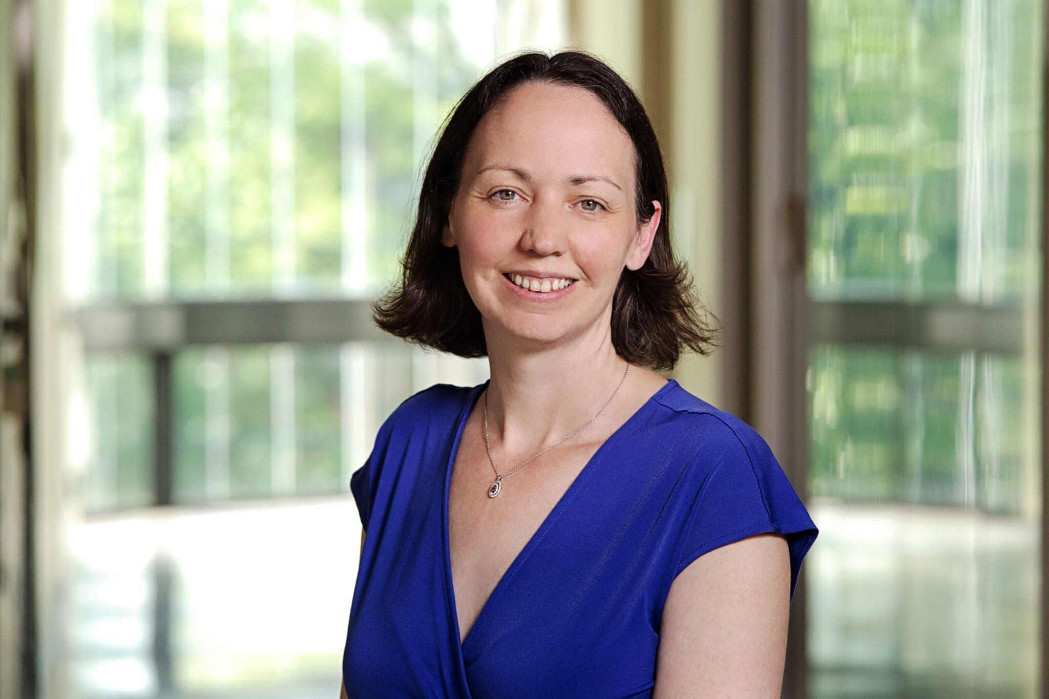 Princeton Engineering - Scientists demonstrate path to linking the ...