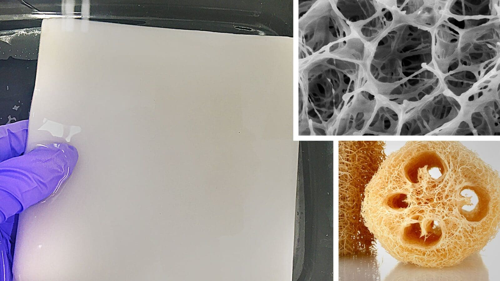 Solar-powered gel filters enough clean water to meet daily needs ...