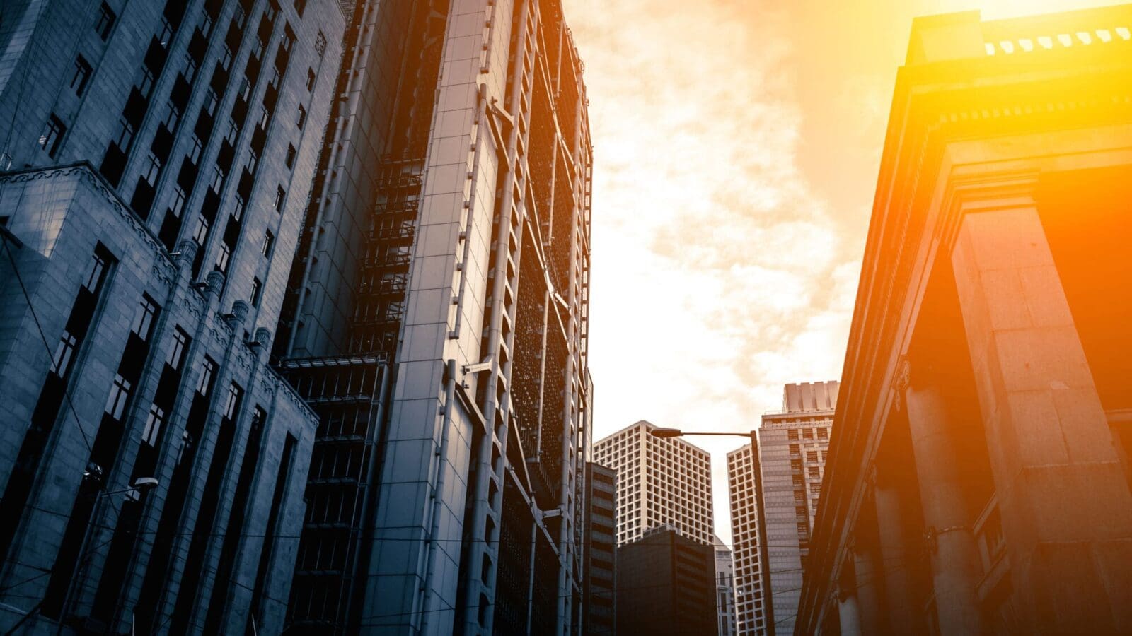 Planting forests may cool the planet more than thought- Princeton ...