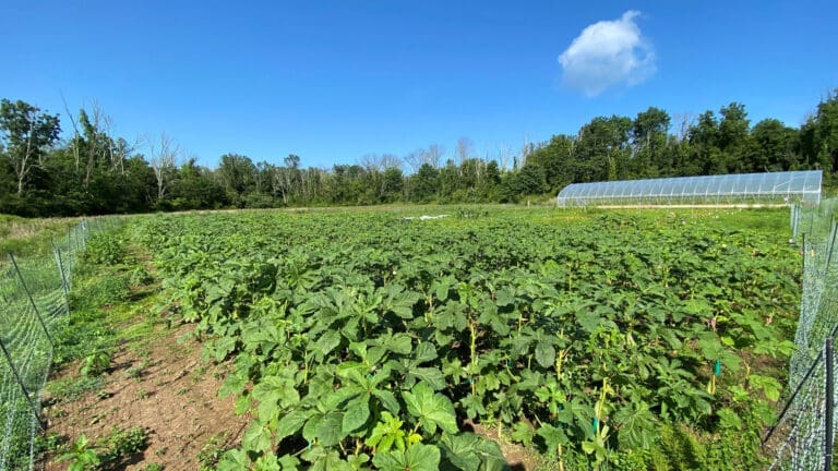 Howard Stone - Princeton Engineering