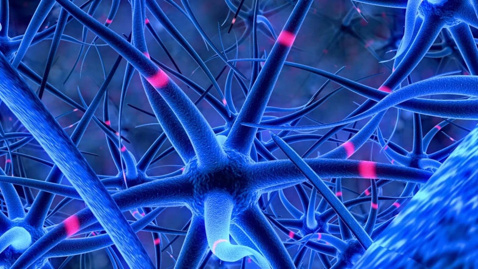 Mapping an entire (fly) brain: A step toward understanding diseases of ...