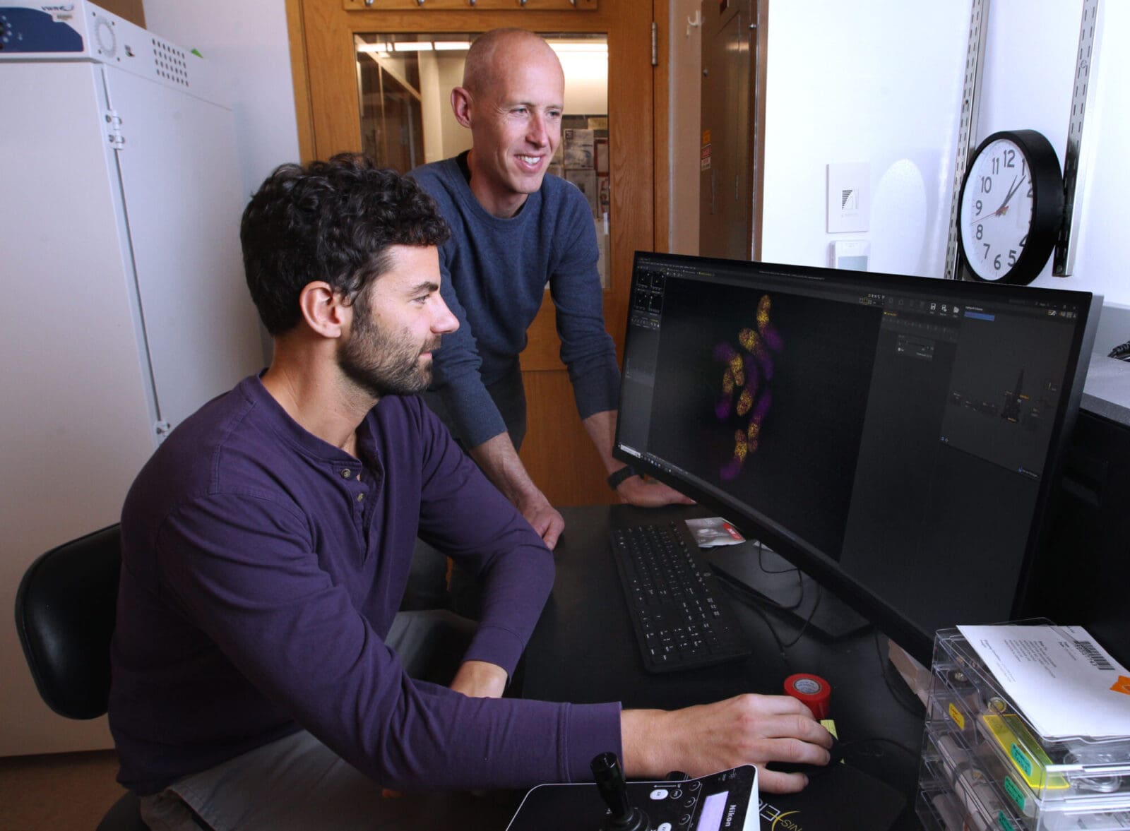 Princeton bioengineers shed light on how and when embryonic cells ...