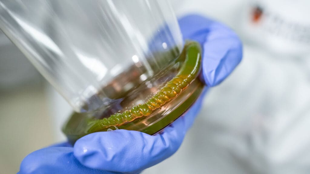 Howard Stone - Princeton Engineering