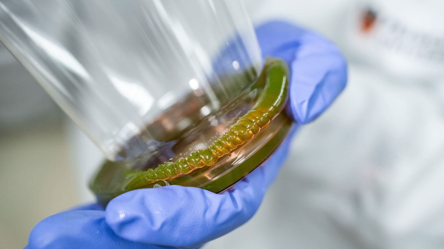 Mechanical and Aerospace Engineering- Princeton Engineering